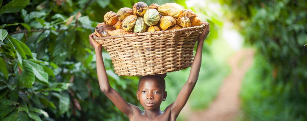 Kakaoens Skjulte Pris: Børns Sundhed i Ghana - MEDNOTE