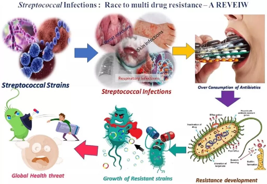 Streptokokker: Kampen mod Antibiotikaresistens - MEDNOTE